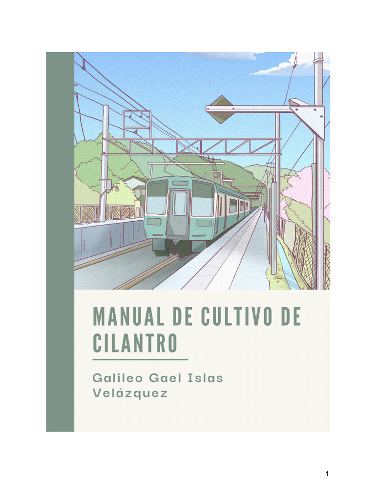 Manual Escolar de Cultivo de Cilantro | PDF | Cilantro | Agricultura