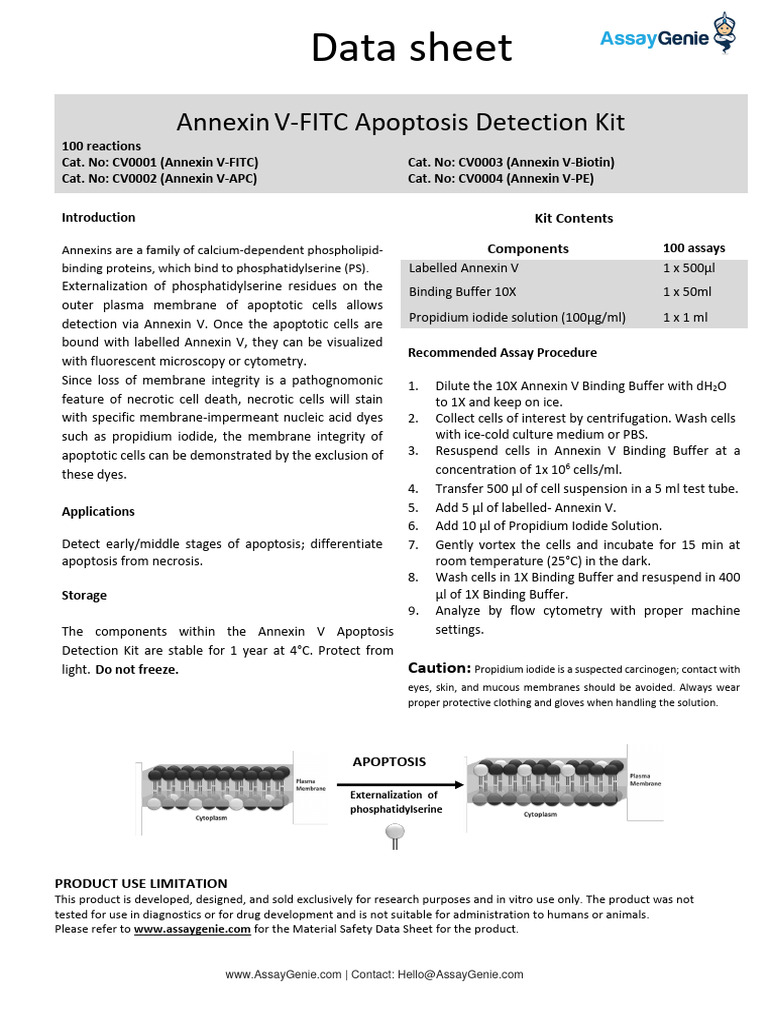 CV0001 - Annexin V Apoptosis Detection Kit | PDF | Apoptosis | Laboratory Techniques
