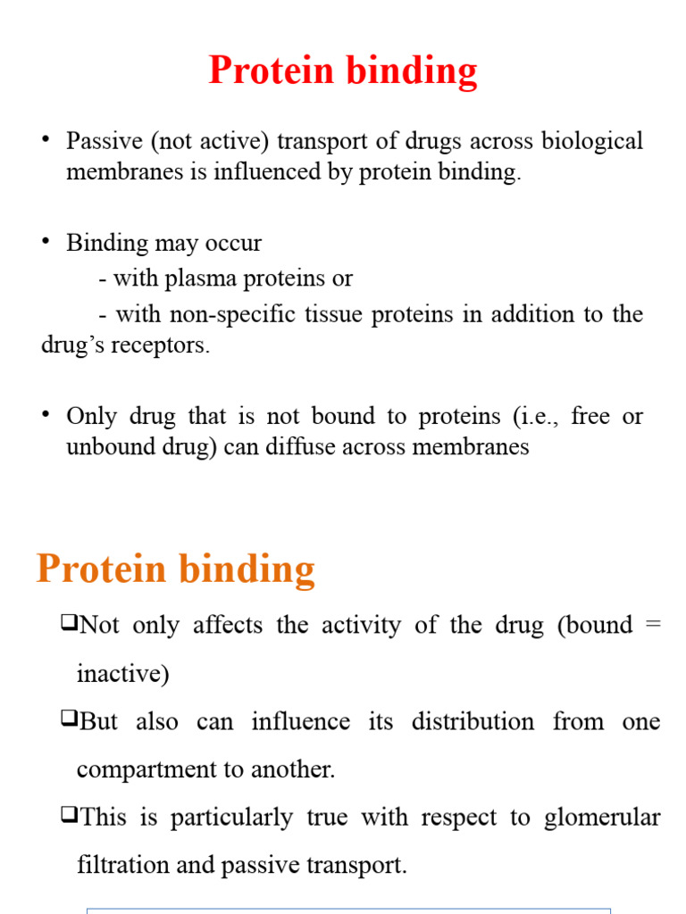 Understanding Drug Protein Binding Dynamics | PDF | Proteins | Biochemistry