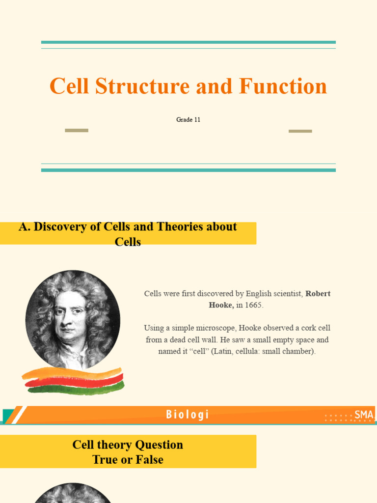 Struktur Dan Fungsi Sel | PDF | Cell (Biology) | Chloroplast