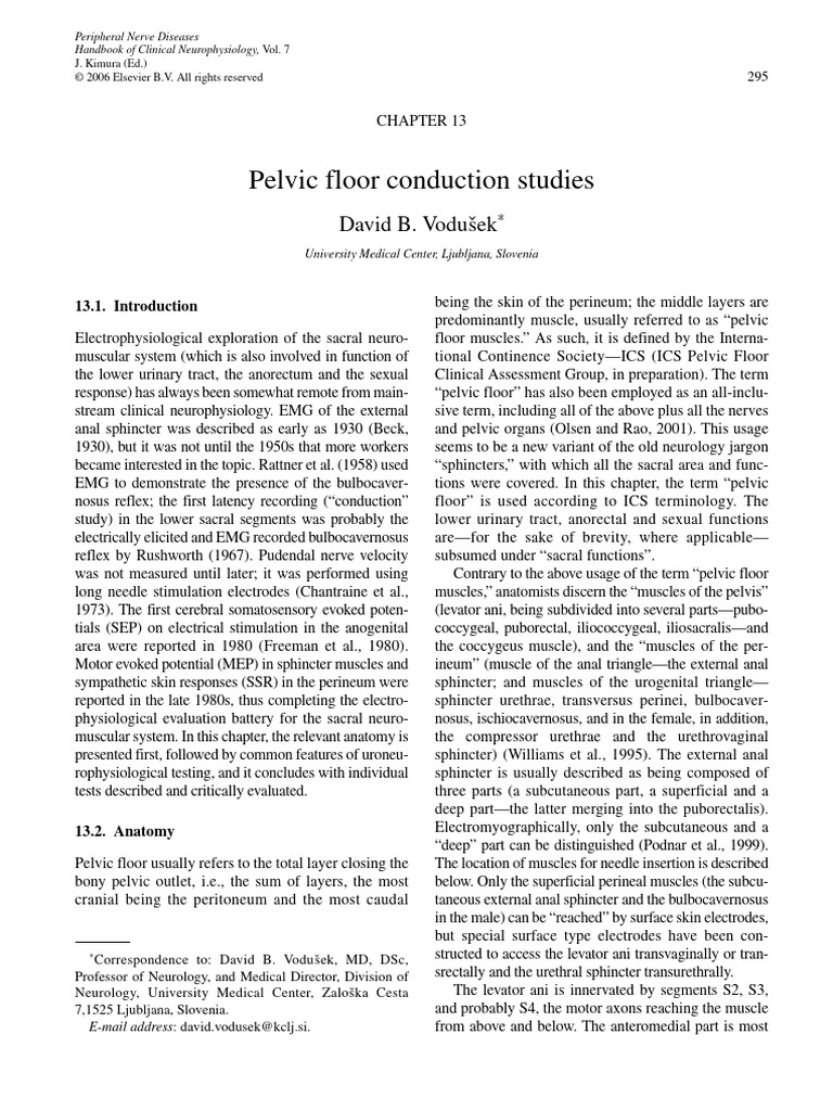 Pelvic Floor Studies | PDF | Anatomy | Human Anatomy