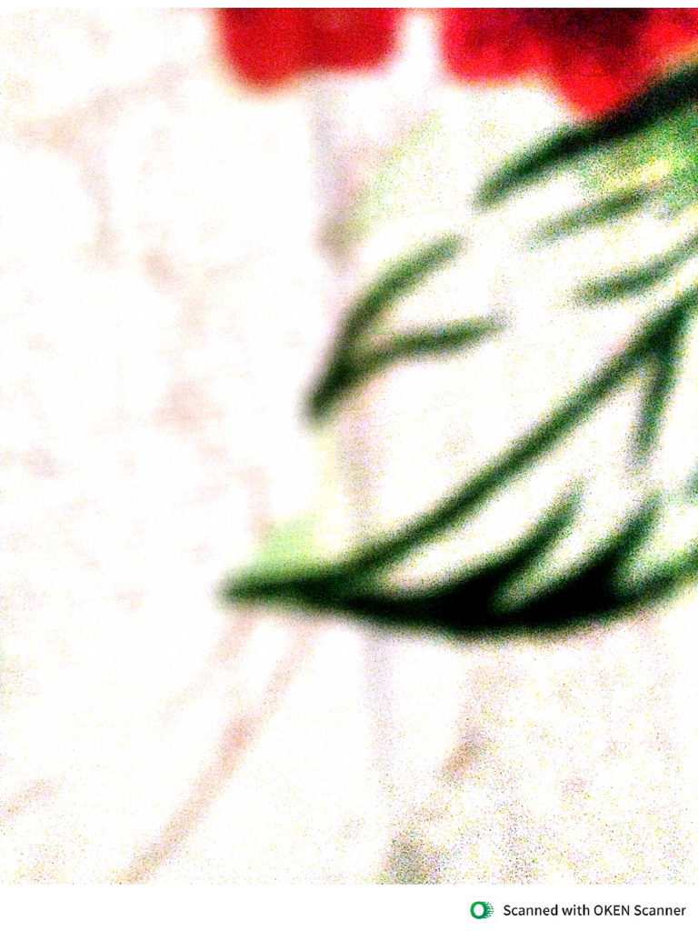 MMJ | PDF