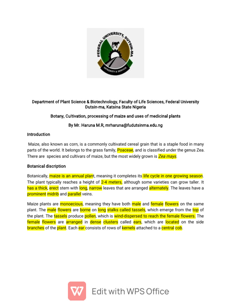 Botany of Maize PDF | PDF | Maize | Agriculture