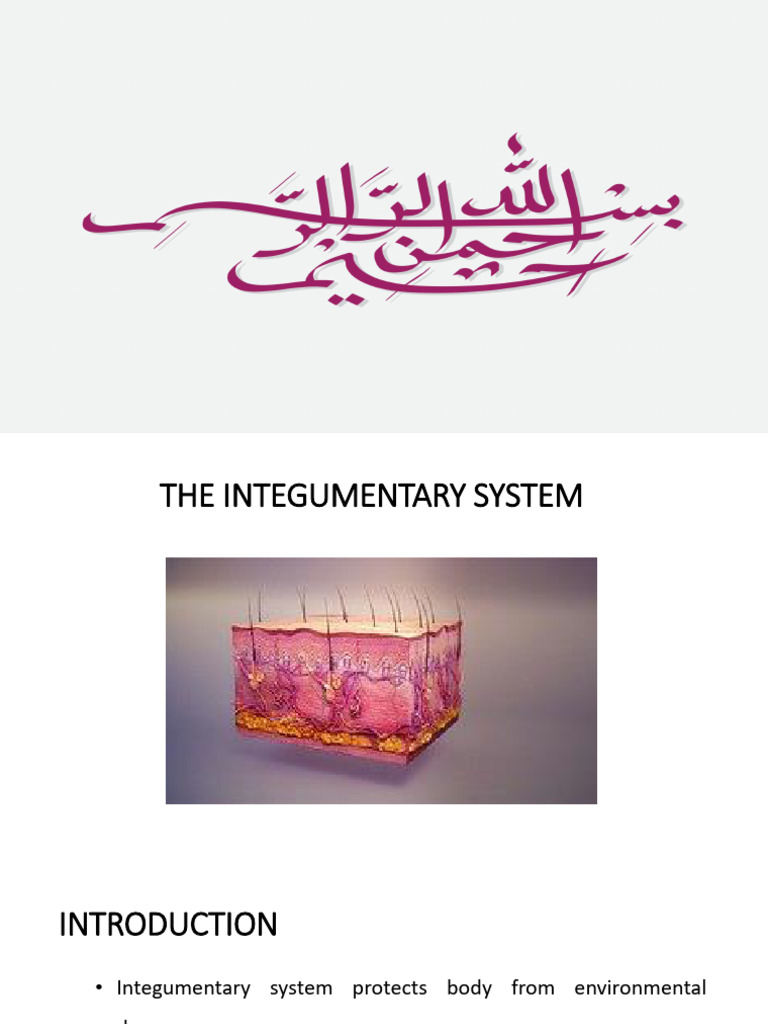 Integumentory Pathology | PDF | Integumentary System | Skin