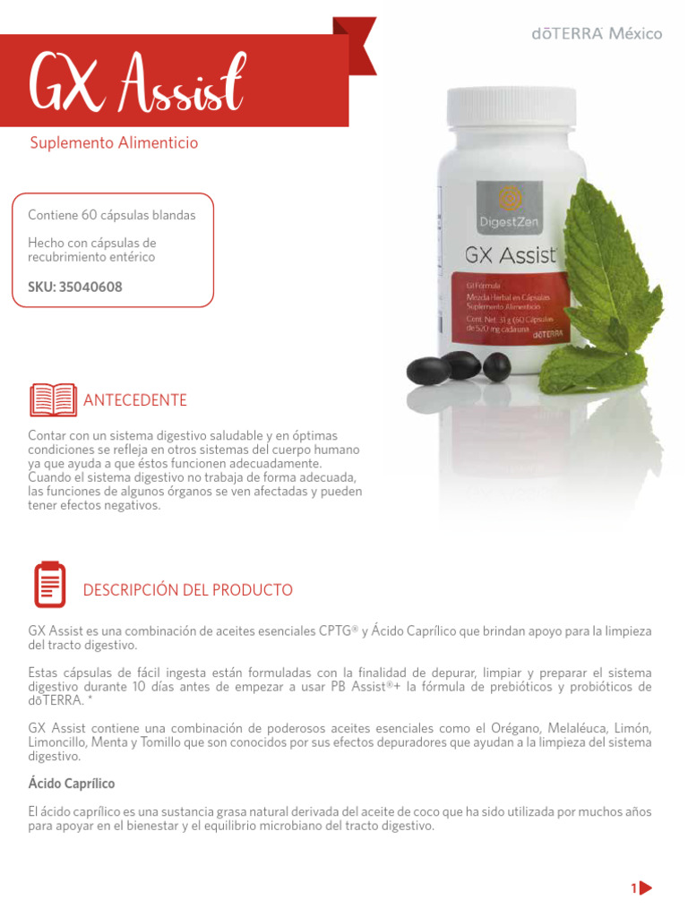Suplemento Digestivo GX Assist 60 Cápsulas | PDF | Alimentos ...