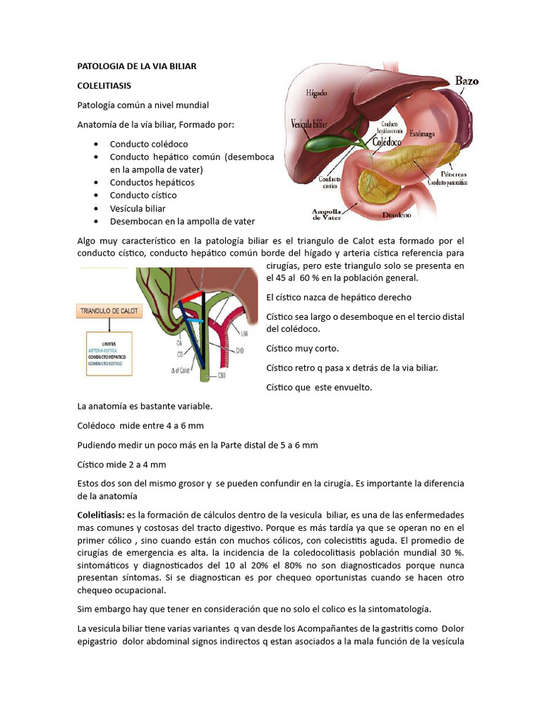 Colelitiasis y Anatomía Biliar | PDF | Vesícula biliar | Sistema digestivo
