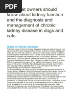 IRIS Pocket Guide To CKD 2023 | PDF | Chronic Kidney Disease | Creatinine