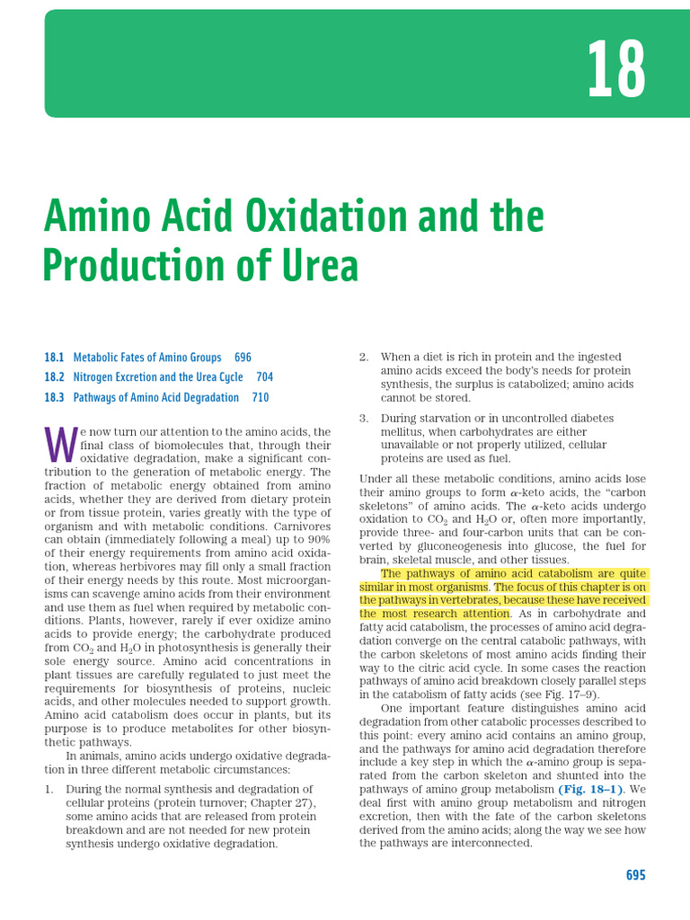 Chap 18 | PDF | Metabolism | Pancreas