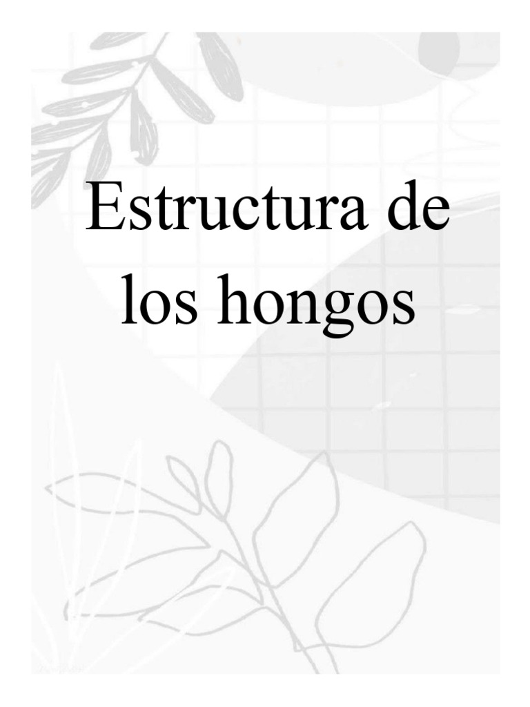 Estructura de Los Hongos | PDF | Hongo | Biología Celular)