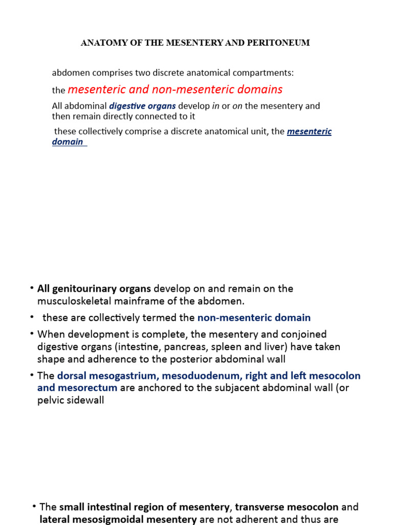 Anatomy of The Mesentery and Peritoneum | PDF | Peritoneum | Abdomen