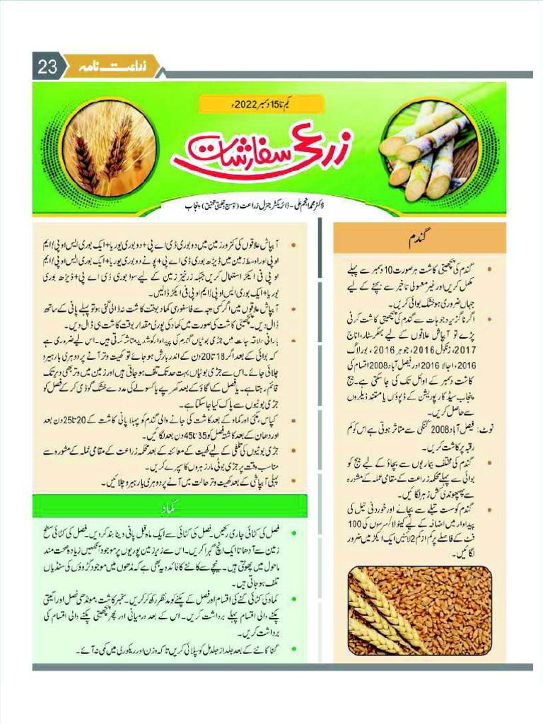 Recomm 1st Dec 2022 | PDF