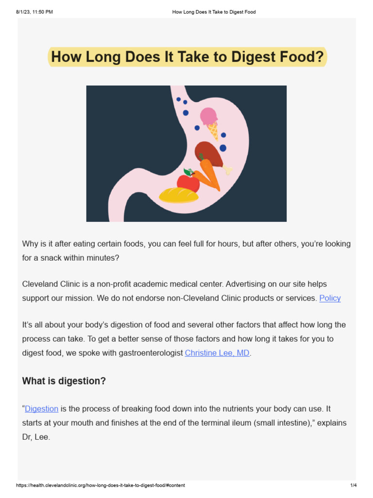 Digesting Food-How Long Does It Take | PDF | Digestion | Small Intestine