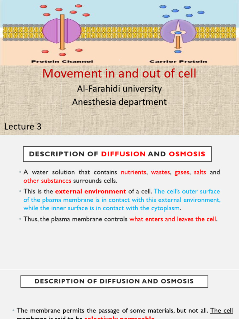 Lecture 3 | PDF | Osmosis | Cell Membrane