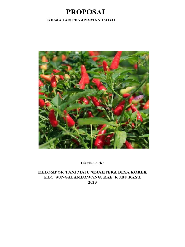 Proposal Tanaman Cabai | PDF