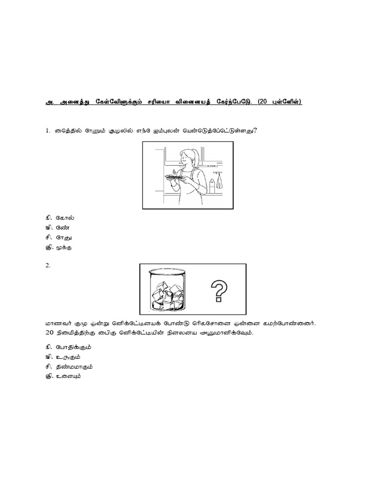 Exam Paper Science Year 3 | PDF