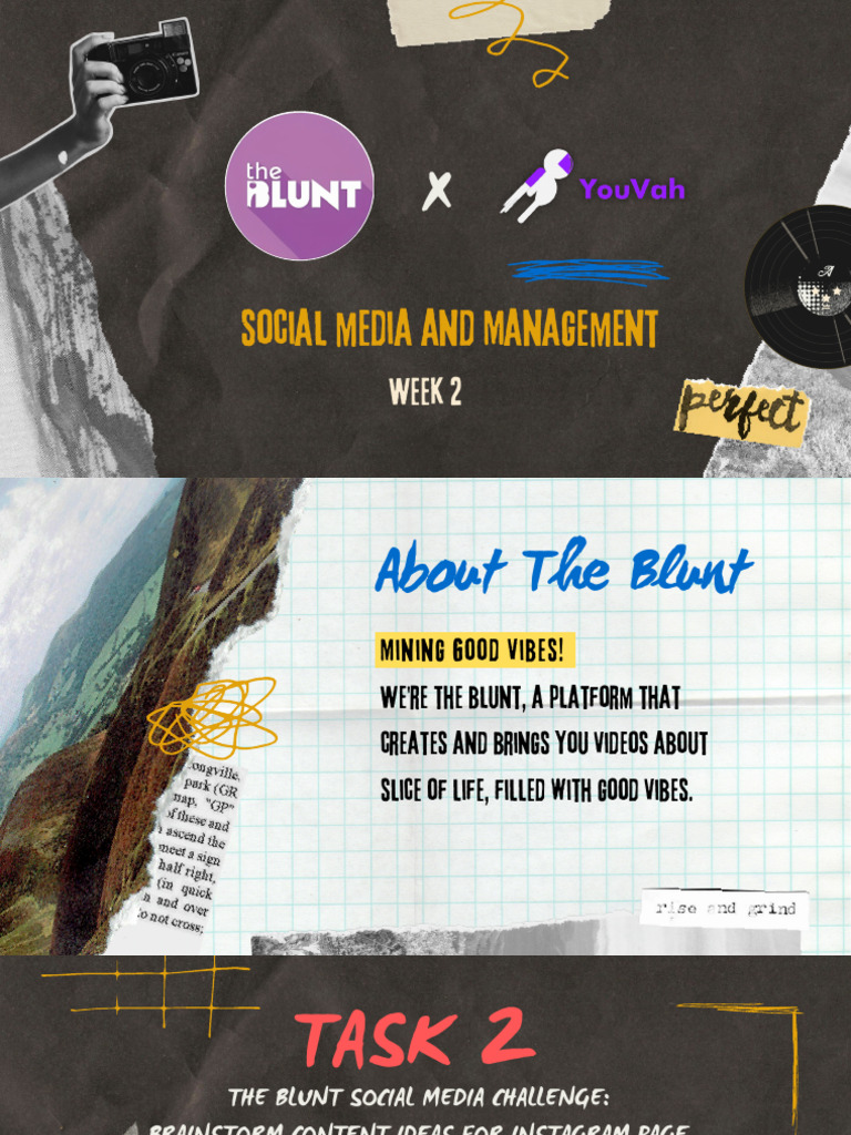 The Blunt SMM2 | PDF