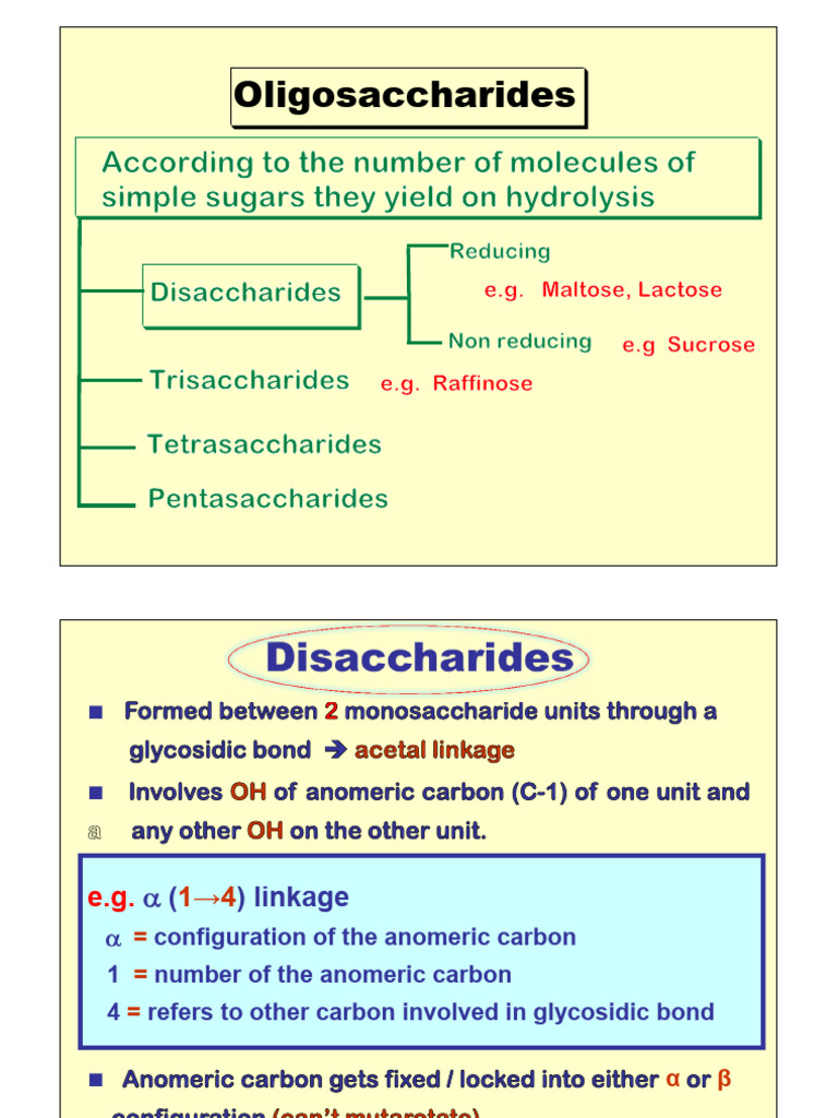 CHO Lecture 2 - Modified - PDF - 237139 | PDF | Sucrose | Hydrolysis CHO Lecture 2 - Modified - PDF - 237139 | PDF | Sucrose | Hydrolysis