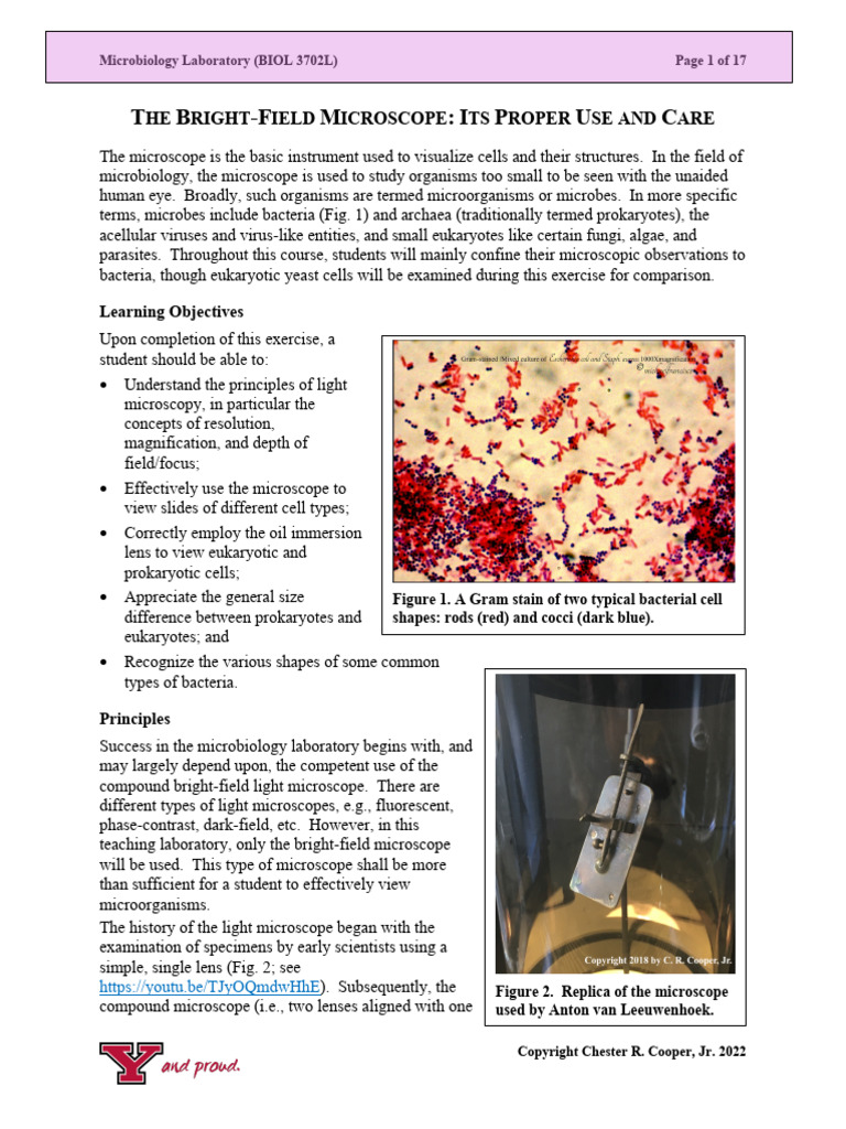 Microscope Brightfield Insctructions | PDF | Microscope | Human Eye