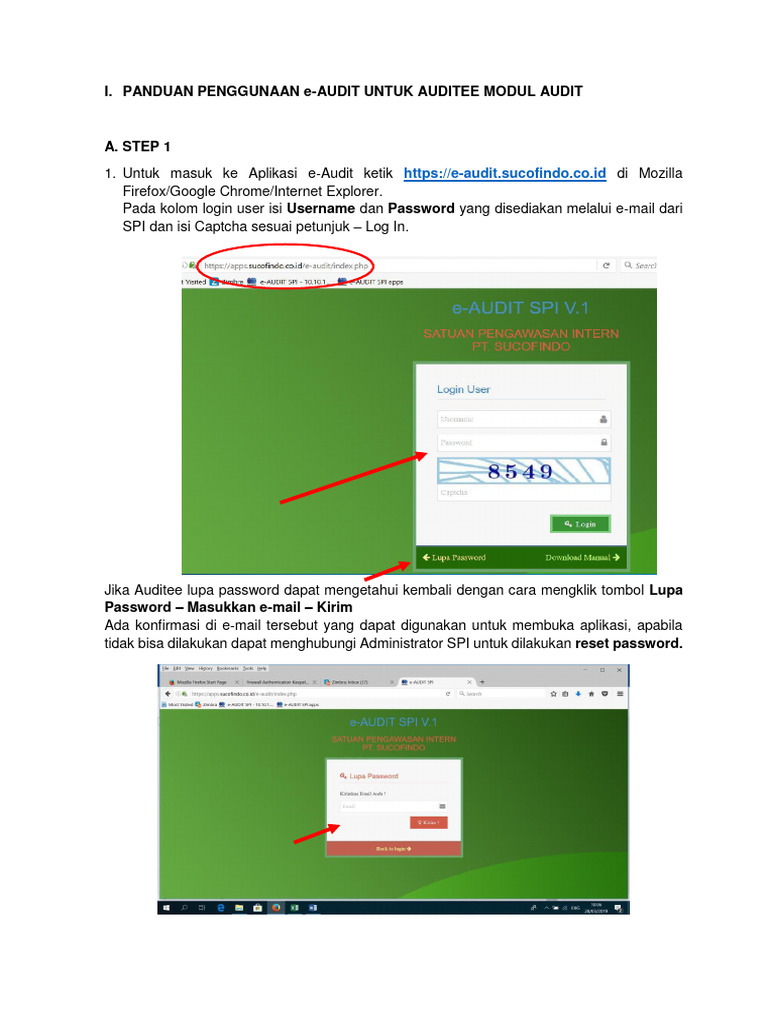 Manual Auditee e Audit | PDF