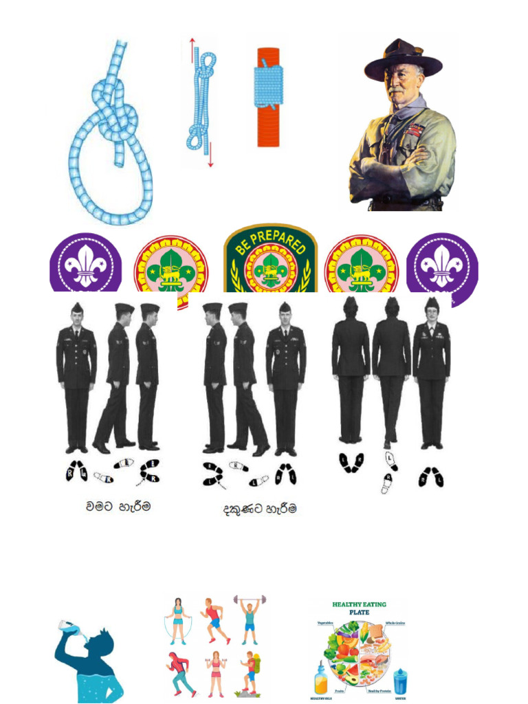 Scout Pictures | PDF