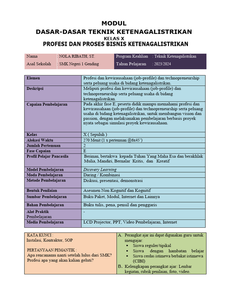 Modul Profesi Dan Proses Bisnis Ketenagalistrikan | PDF