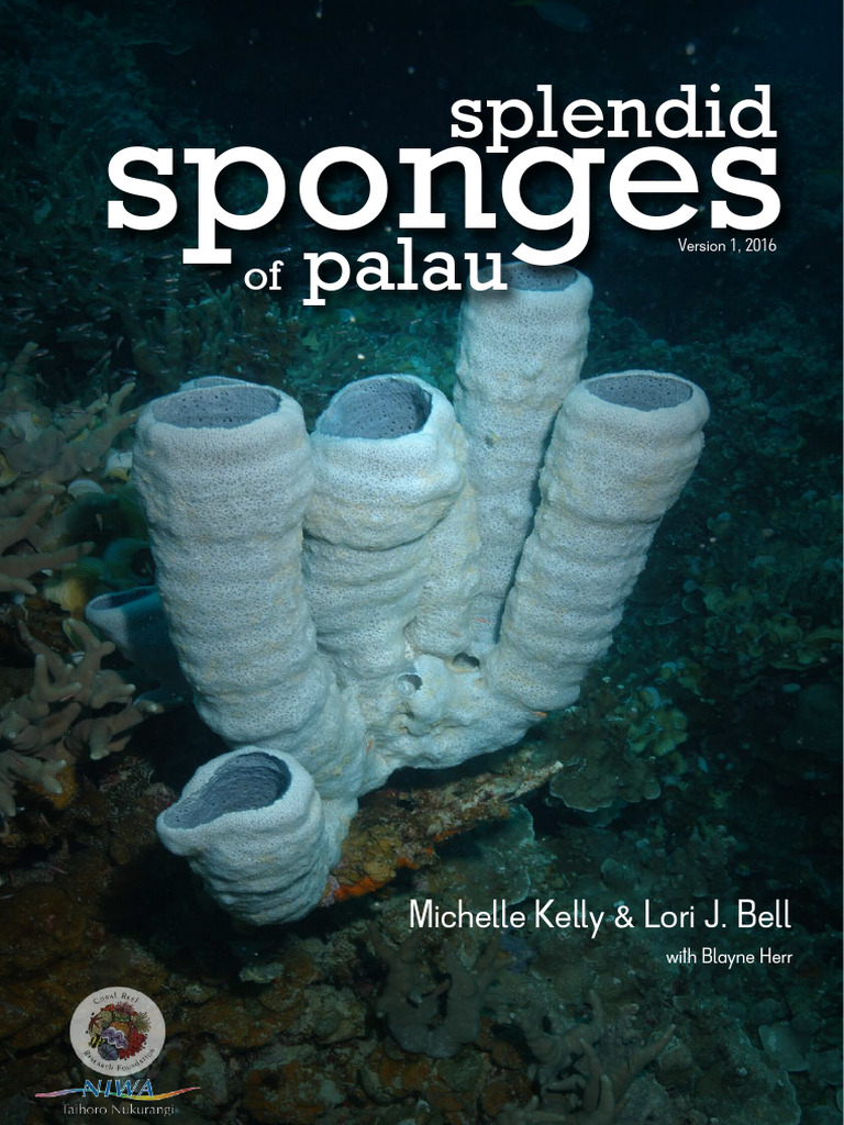 Splendid Sponges of Palau | PDF | Sponge | Lagoon