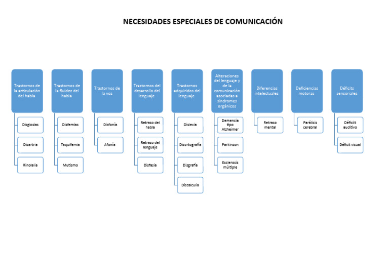 Necesidades Especiales de Comunicación | PDF