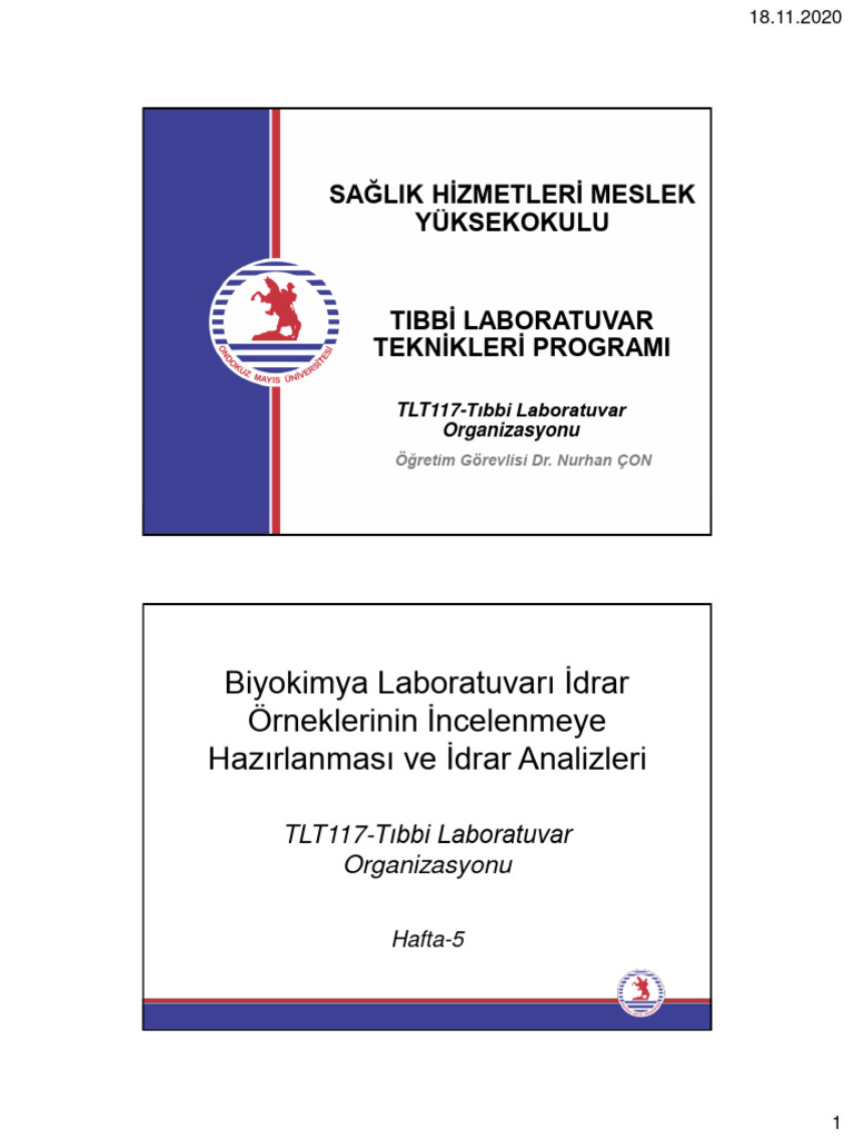 Tıbbi Lab.org Avys-6. Hafta | PDF