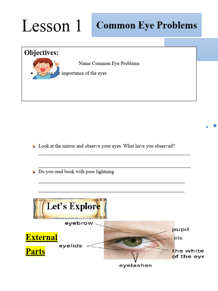 5.6. Common Eye Problem | PDF | Eye | Retina