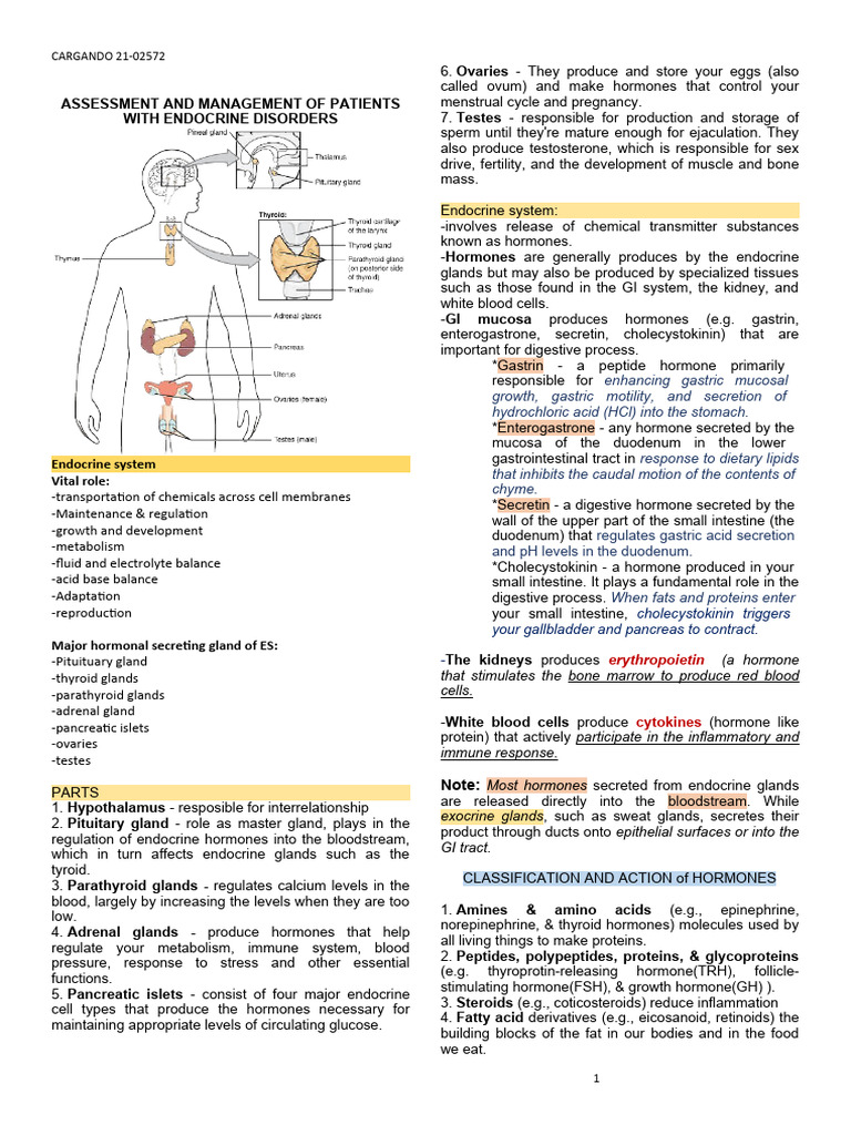 Endocrine | PDF | Hyperthyroidism | Thyroid