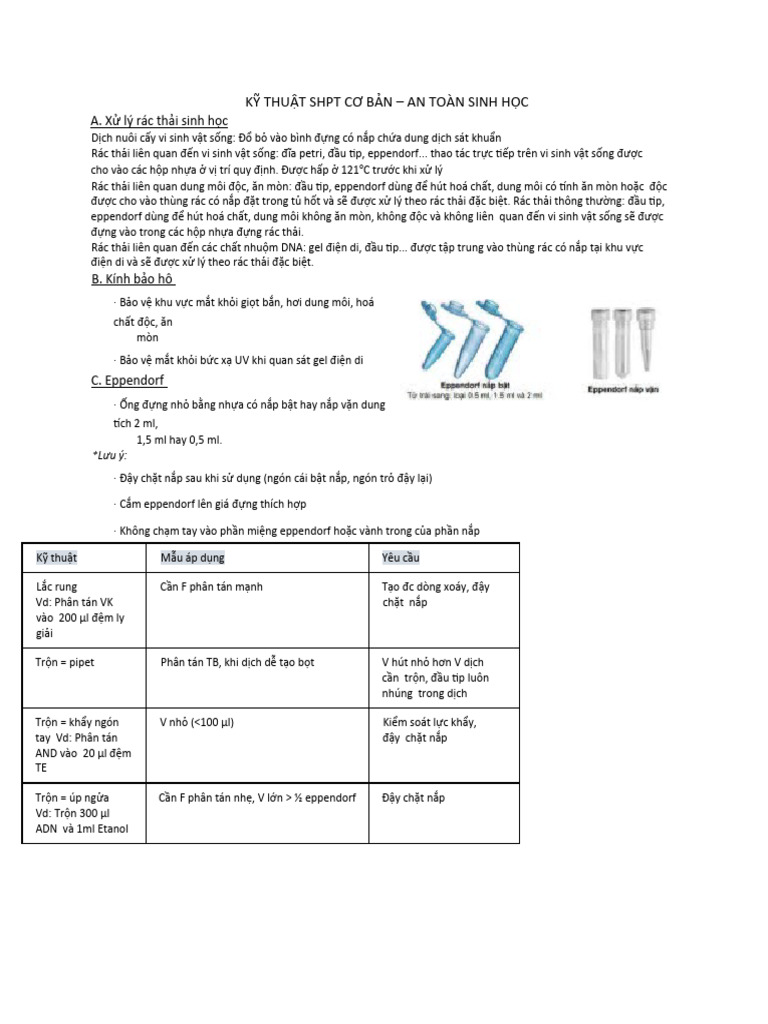Bài So N SHPT | PDF
