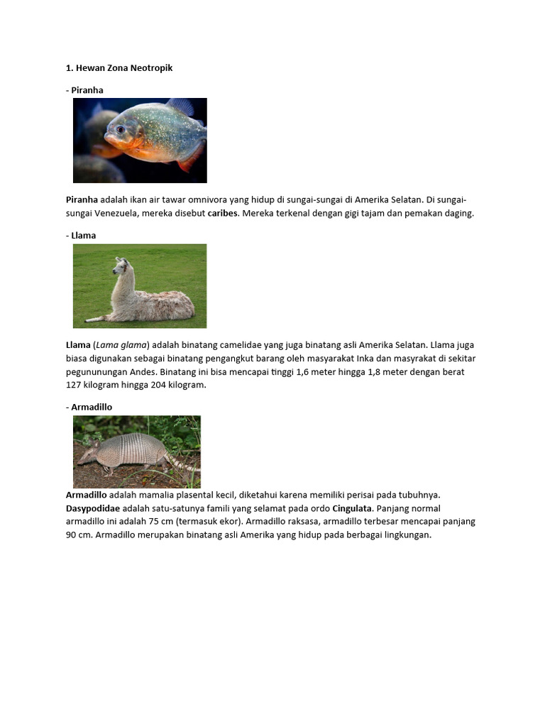 Hewan Neotropik | PDF | Sains & Matematika