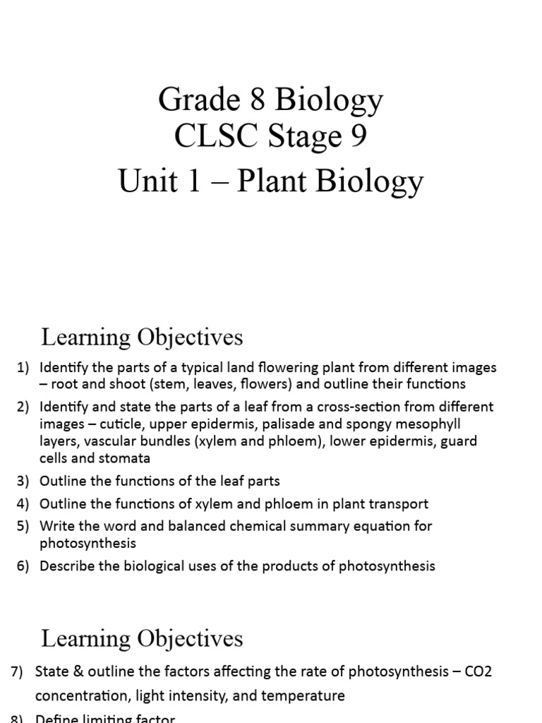 Plant Biology for Grade 8 Students | PDF | Leaf | Photosynthesis