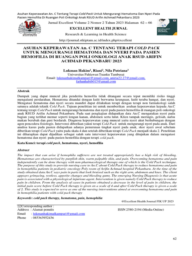 Askep Terapi Cold Pack Pada Hematoma | PDF | Kesehatan Holistik