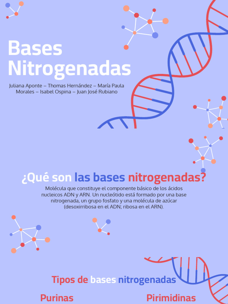 Bases Nitrogenadas en ADN y ARN | PDF | Nucleótidos | Rna