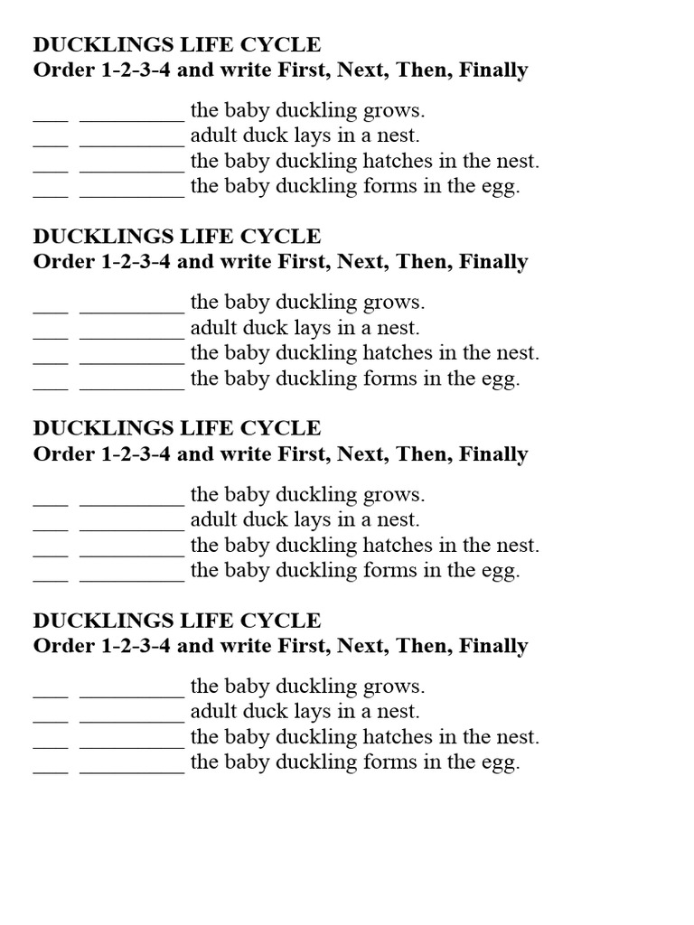 Life Cycle Ducklings Order | PDF