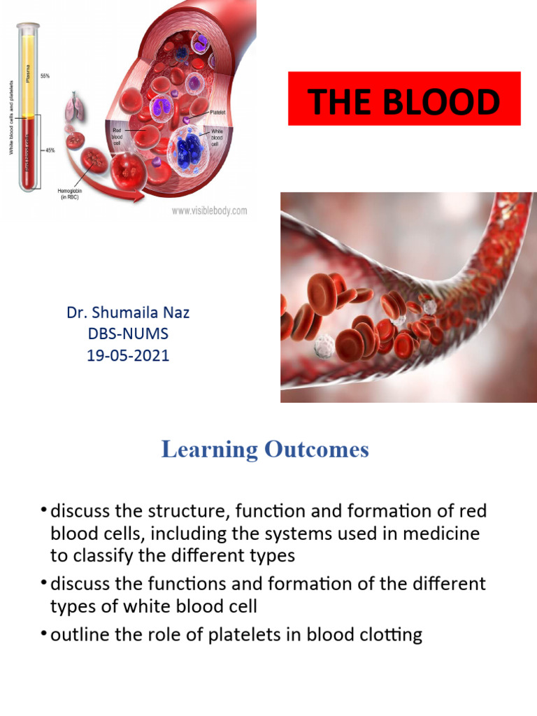 The Blood | PDF | Coagulation | Blood Type