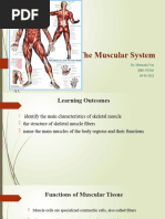 General Zoology Muscular System of The Frog - Notes | PDF | Foot | Abdomen