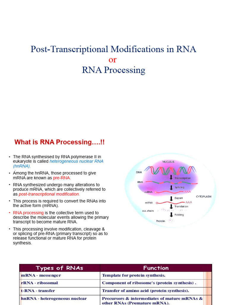 RNA Processing | PDF | Rna Splicing | Rna