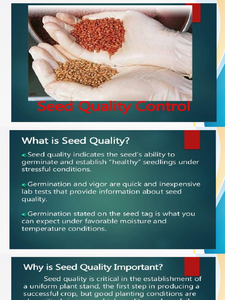 SEED-QUALITY-CONTROL_Major-8 | PDF