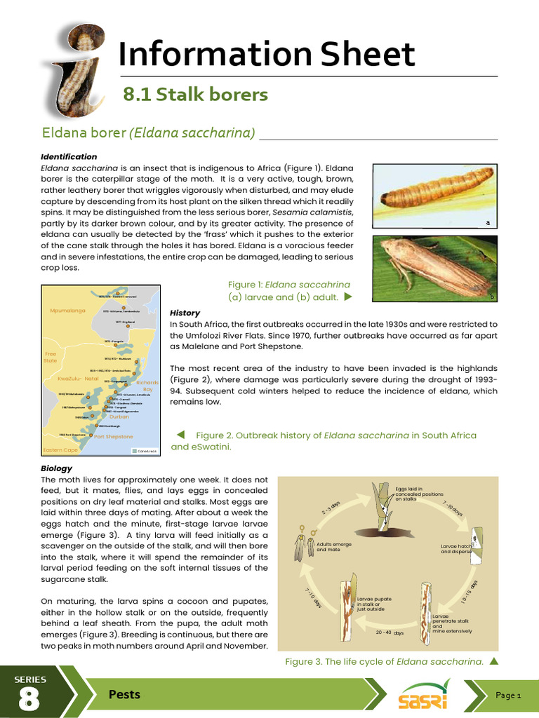 8.1 Stalk Borers | PDF | Pupa | Insects