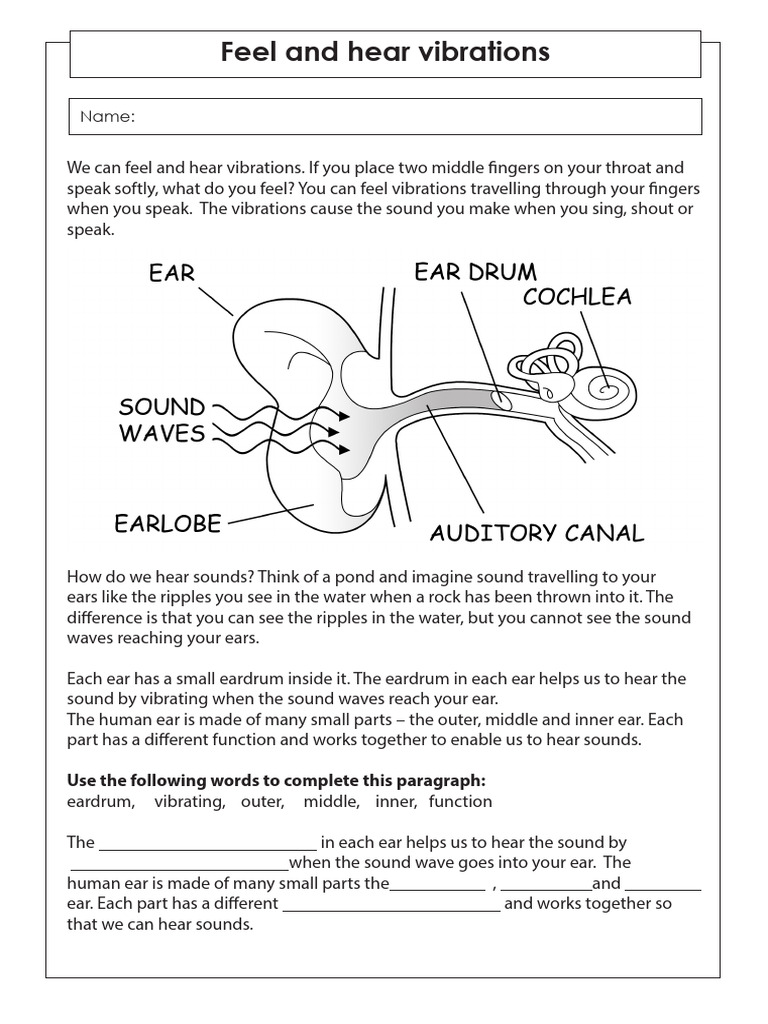 Feel and Hear Vibrations | PDF | Foreign Language Studies
