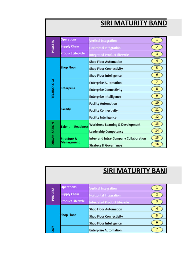 SIRI Assessment Matrix | PDF | Business Intelligence | Strategic Management