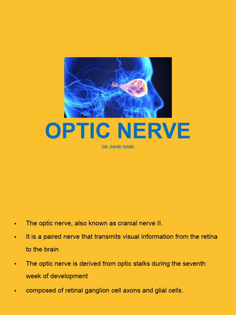 optic nerve 1 | PDF | Visual System | Human Anatomy