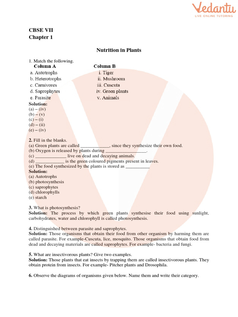 CBSE Class 7 Science Nutrition in Plants Worksheets With Answers ...