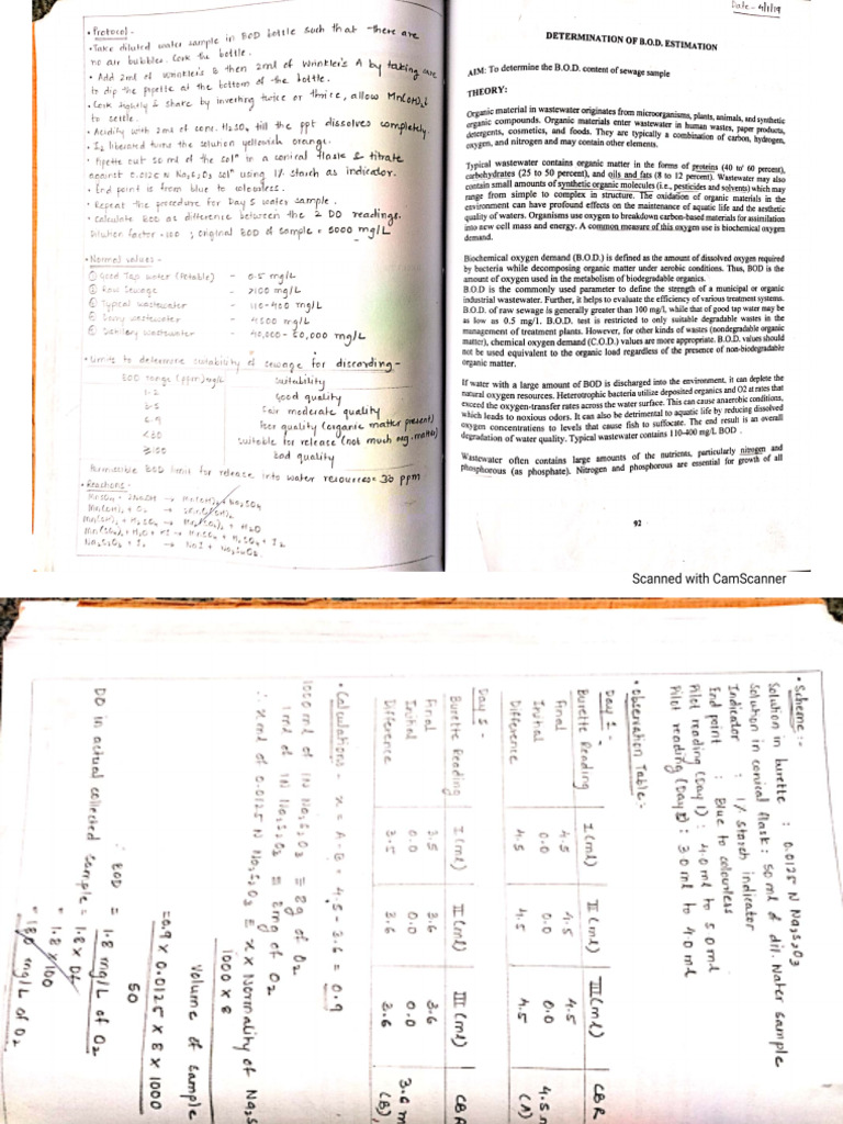 OE Experiments | PDF