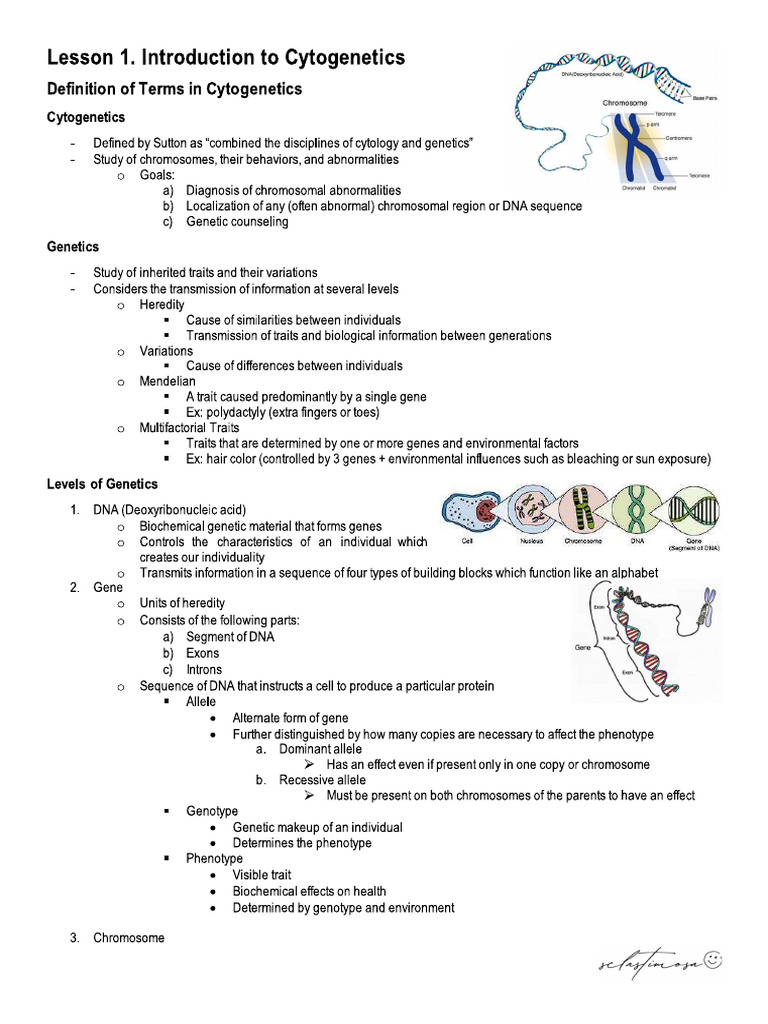 Cytogenetics | PDF