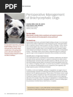 Fixos Forefoot & Mid-Foot Screw System-160420-ST-SYK-En | PDF | Screw ...