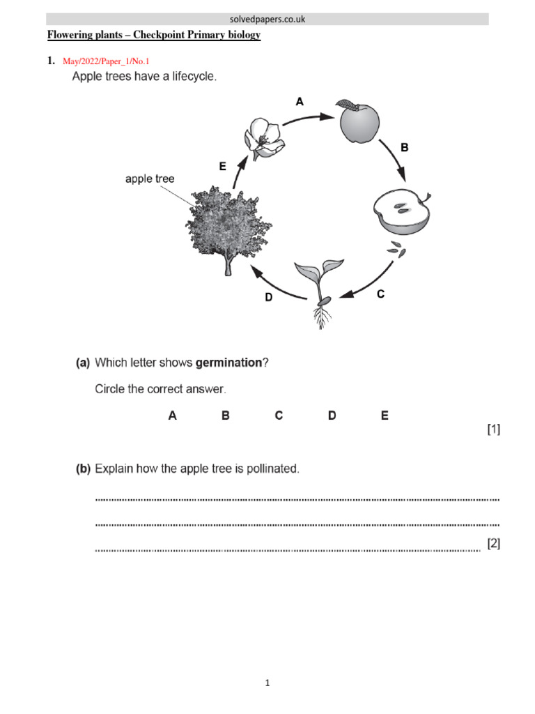 Primary Biology Exam Papers Archive | PDF | Plants | Biology