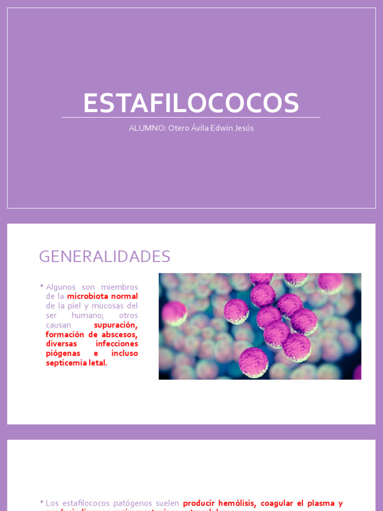 Estafilococos | PDF | Staphylococcus Aureus | Enfermedades y trastornos